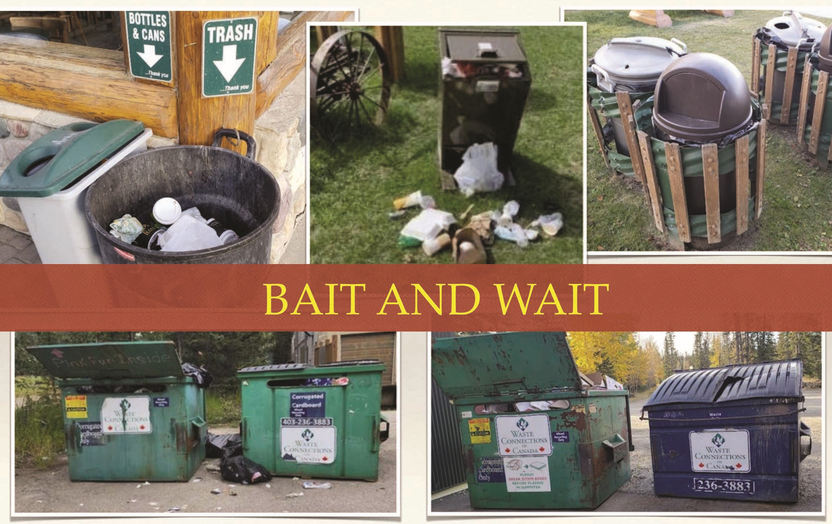Public input on wildlife attractants, garbage in Bragg Creek - CochraneNow: Cochrane, Alberta's ...